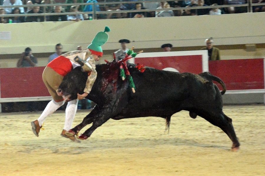 Tourada à Portuguesa em Saintes Maries-de-la-Mer - LusoJornal