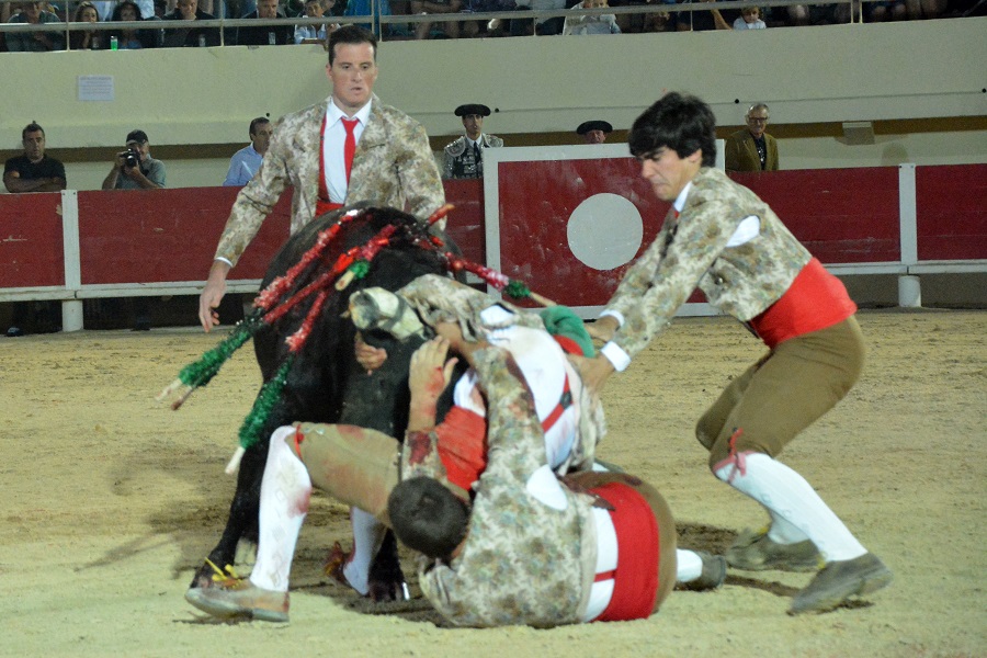 Tourada à Portuguesa em Saintes Maries-de-la-Mer – LusoJornal