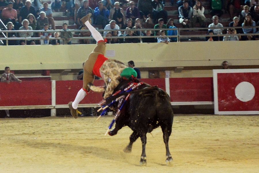Tourada à Portuguesa em Saintes Maries-de-la-Mer - LusoJornal