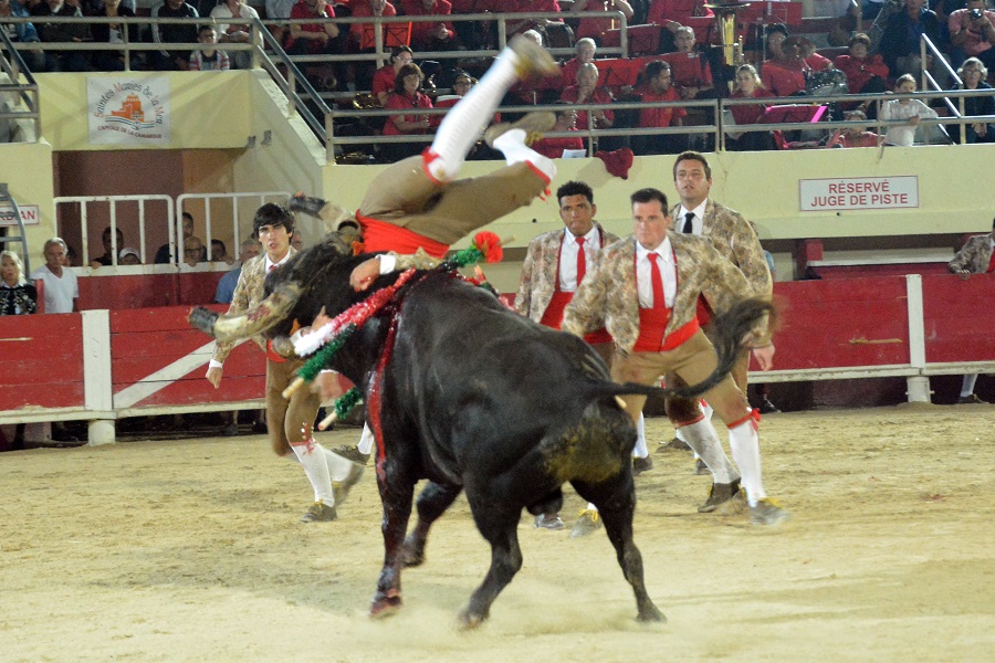 Tourada à Portuguesa em Saintes Maries-de-la-Mer - LusoJornal