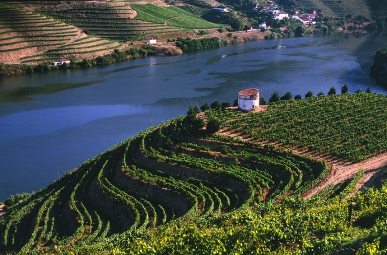 Douro vai bater recorde de procura na passagem de ano com contribuição ...